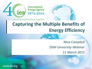 Capturing the Multiple Benefits of Energy Efficiency | PDF