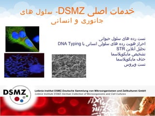 Dsmz | PPT