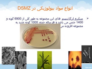 Dsmz | PPT