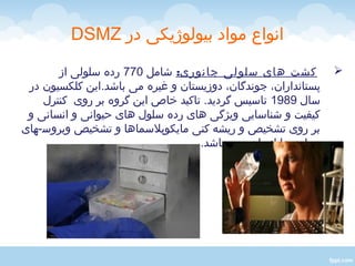 Dsmz | PPT
