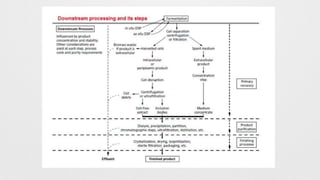 Downstream processing -Introduction and Process | PPTX