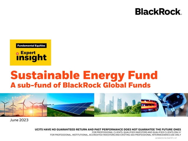 DSP World Energy Fund | PPT