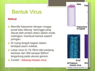 Virus | PPT