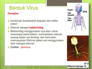 Virus | PPT
