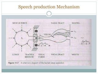 Speech recognition and digital image processing.pptx