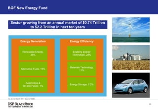 DSP BlackRock World Energy Fund