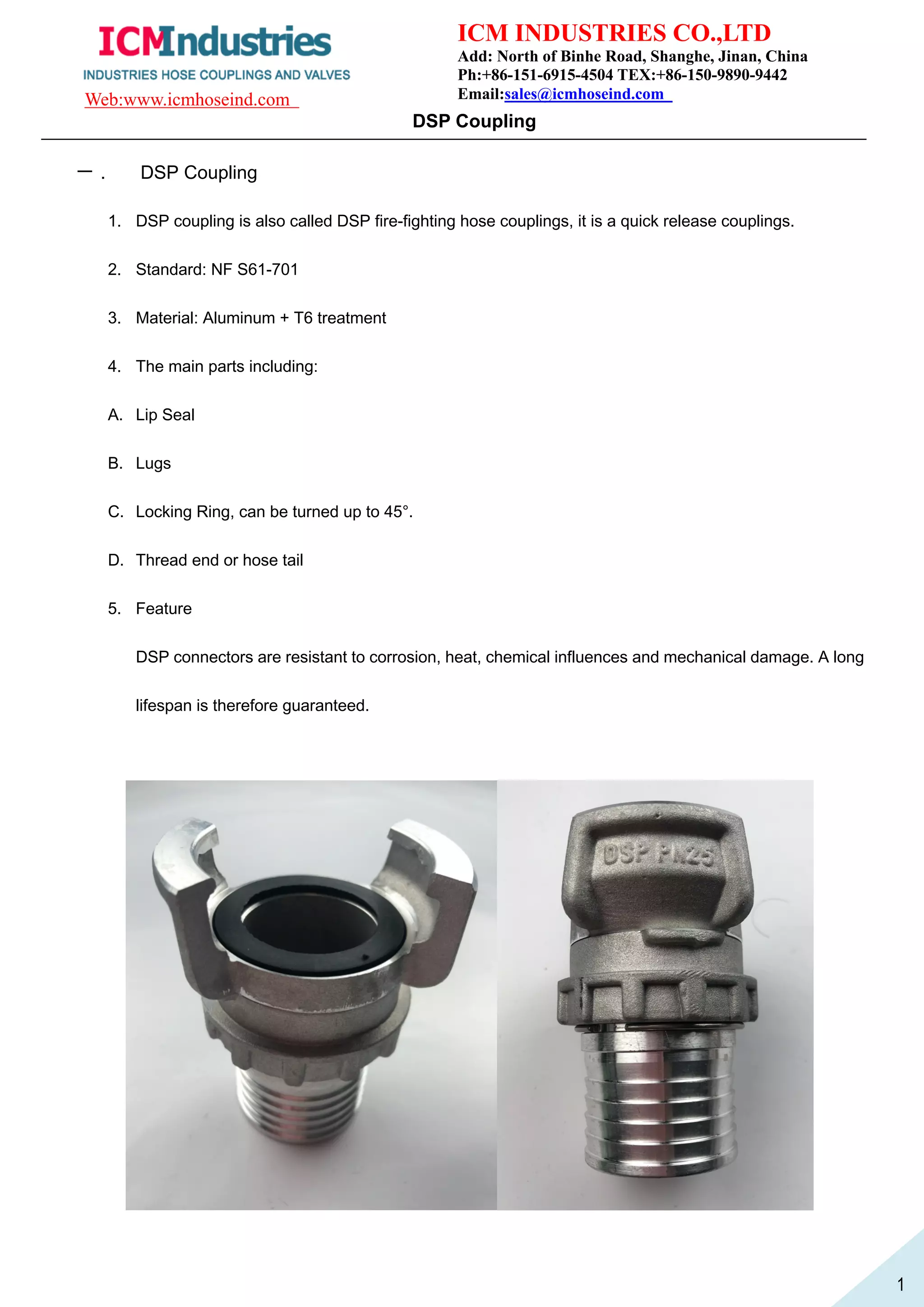 DSP coupling/French Coupling/French Fire fighting coupling | PDF