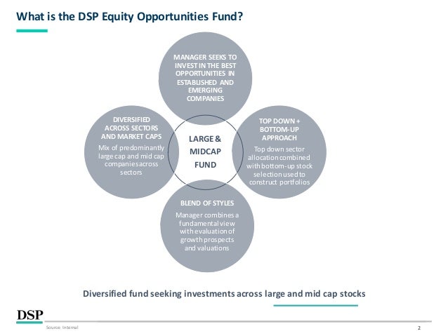 DSP Equity Opportunities Fund | PDF