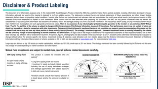 DSP Equity Savings Fund - Presentation Aug'24 | PDF