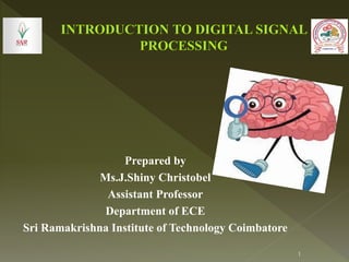 DSP PPT | PDF | Digital Audio | Computer Software and Applications