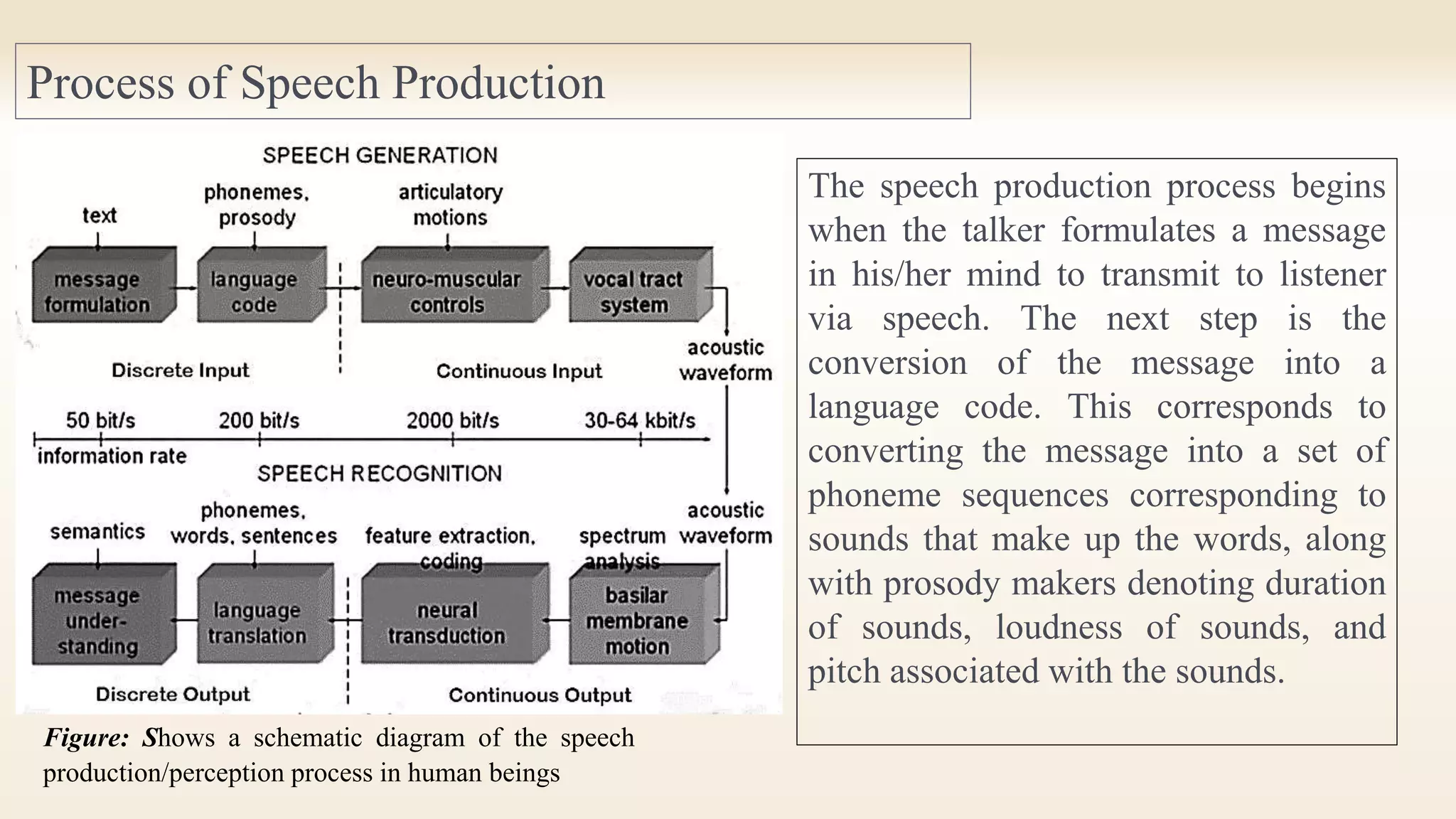 A Case Study on DSP (Speech Processing) | PPTX | Digital Audio ...