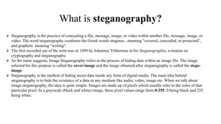 Image Based Steganpgraphy | PPT