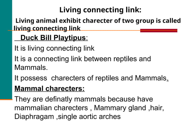 DSR-Connecting_link_DrDsRathodZoology.ppt