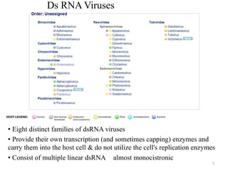 Ds RNA plant viruses | PPTX