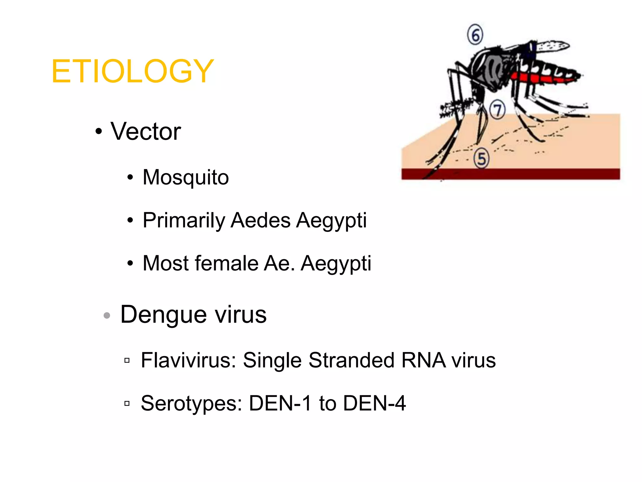 Dengue fever ,Dengue shock syndrome | PPTX