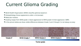 Deep Learning Glioma Grading with the Tumor Microenvironment Analysis Protocol for Comprehensive ...