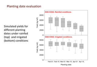 Crop modelling with the DSSAT | PPT