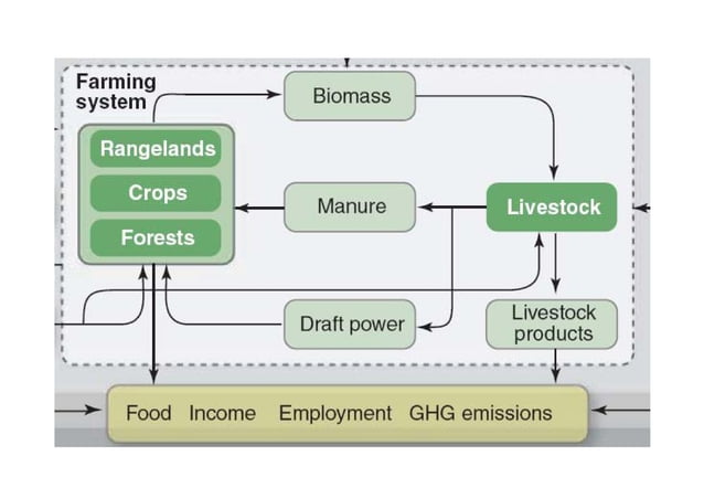 Crop modelling with the DSSAT | PPT | Agriculture | Industries