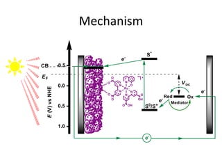 Dssc (Dye sensitized solar cell) | PPTX