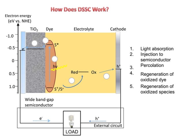 Dssc (Dye sensitized solar cell) | PPTX | Science