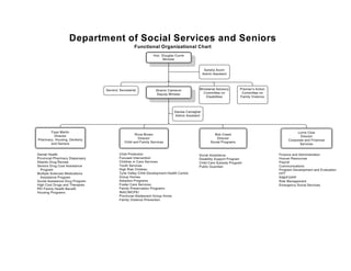 Dsss org aug_07 | PDF | Family and Relationships