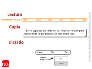 DST-J.pdf ficha tecnica de test para detección de dislexia | PDF