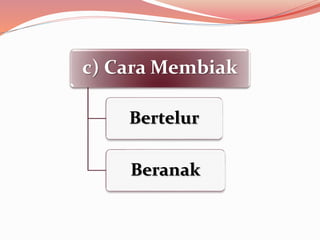 tahun 3:haiwan | PPTX