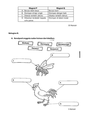 Dst tahun 3 pertengahan penggal | DOCX