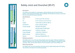 DST Tool Presentation.pdf