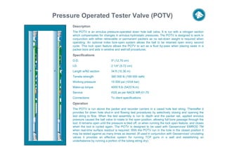 DST Tool Presentation.pdf