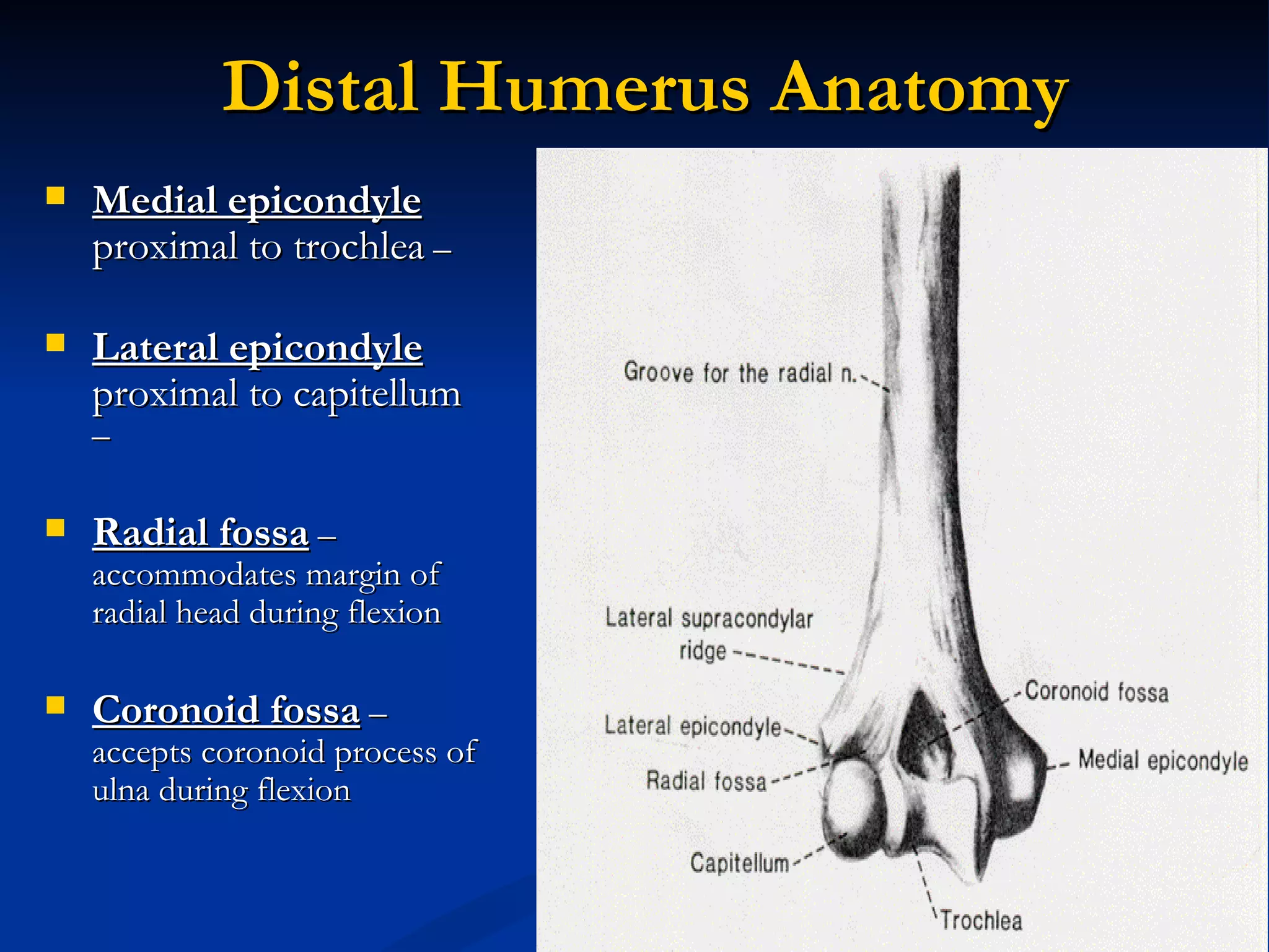 D) supracondylar fracture | PPT