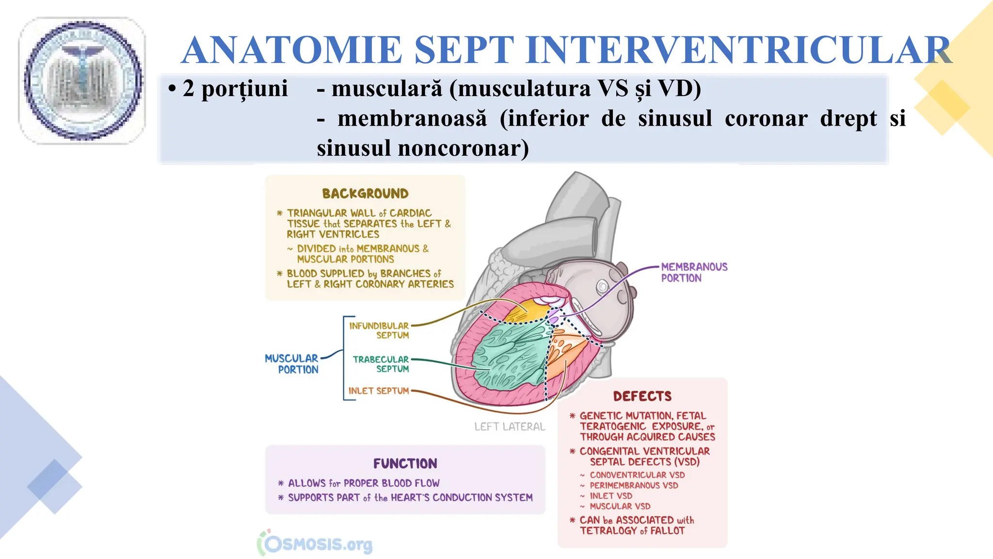 Defect sept ventricular prezentare .pptx