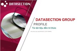 Datasection Vietnam | PPT
