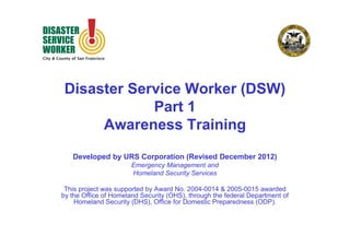 Dsw training presentation booklet slides.dec12 | PDF