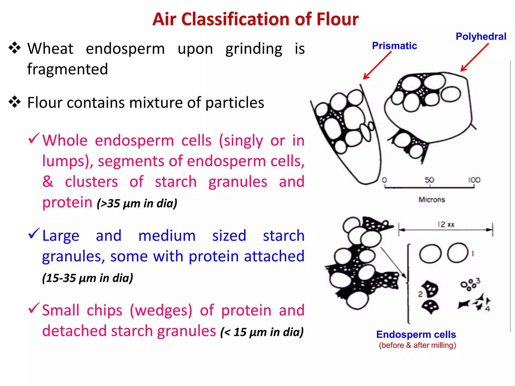 Wheat and wheat milling | PPT