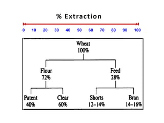 Wheat and wheat milling | PPT