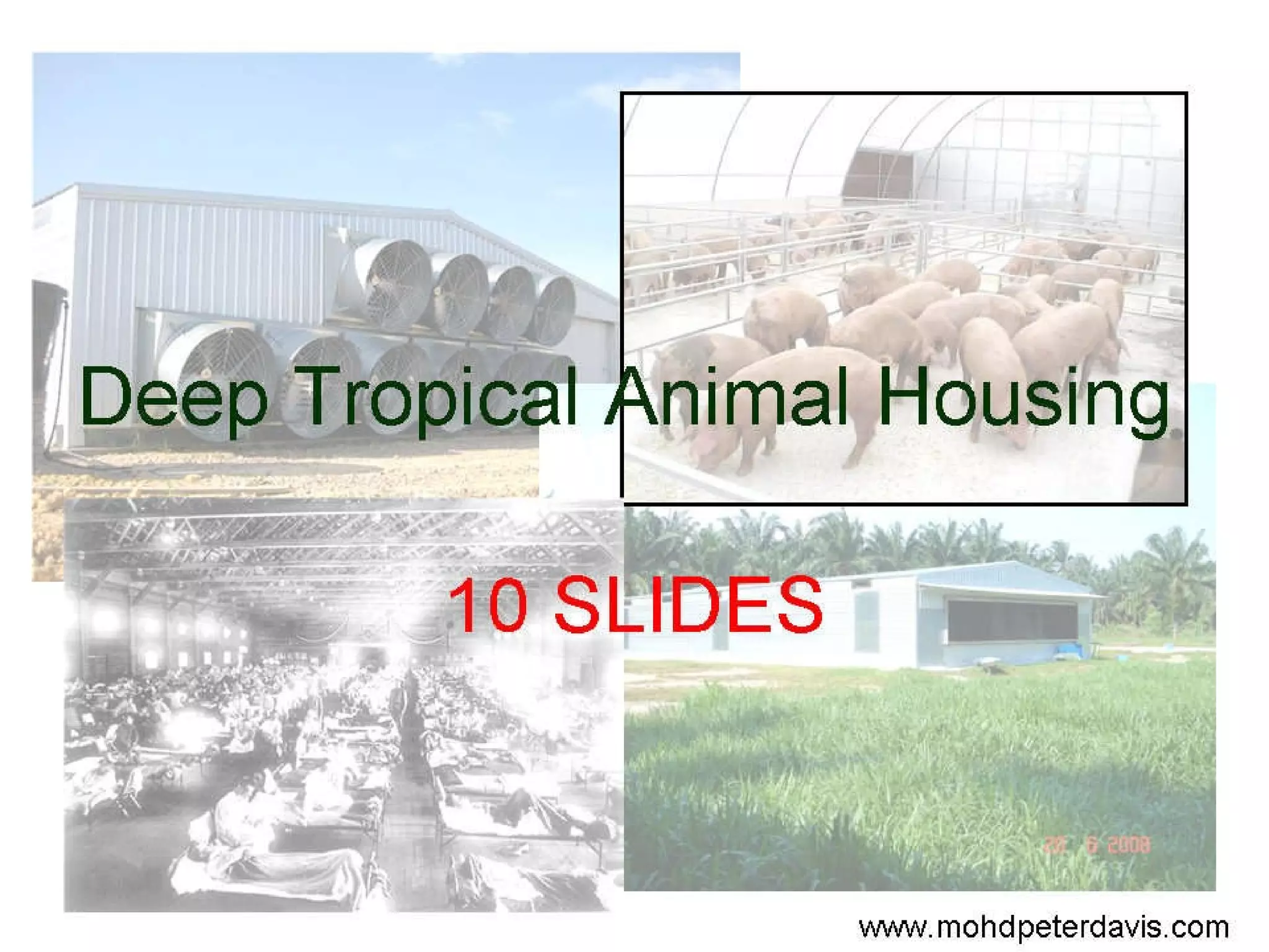 Deep Tropical Animal Housing (www.mohdpeterdavis.com) | PPT