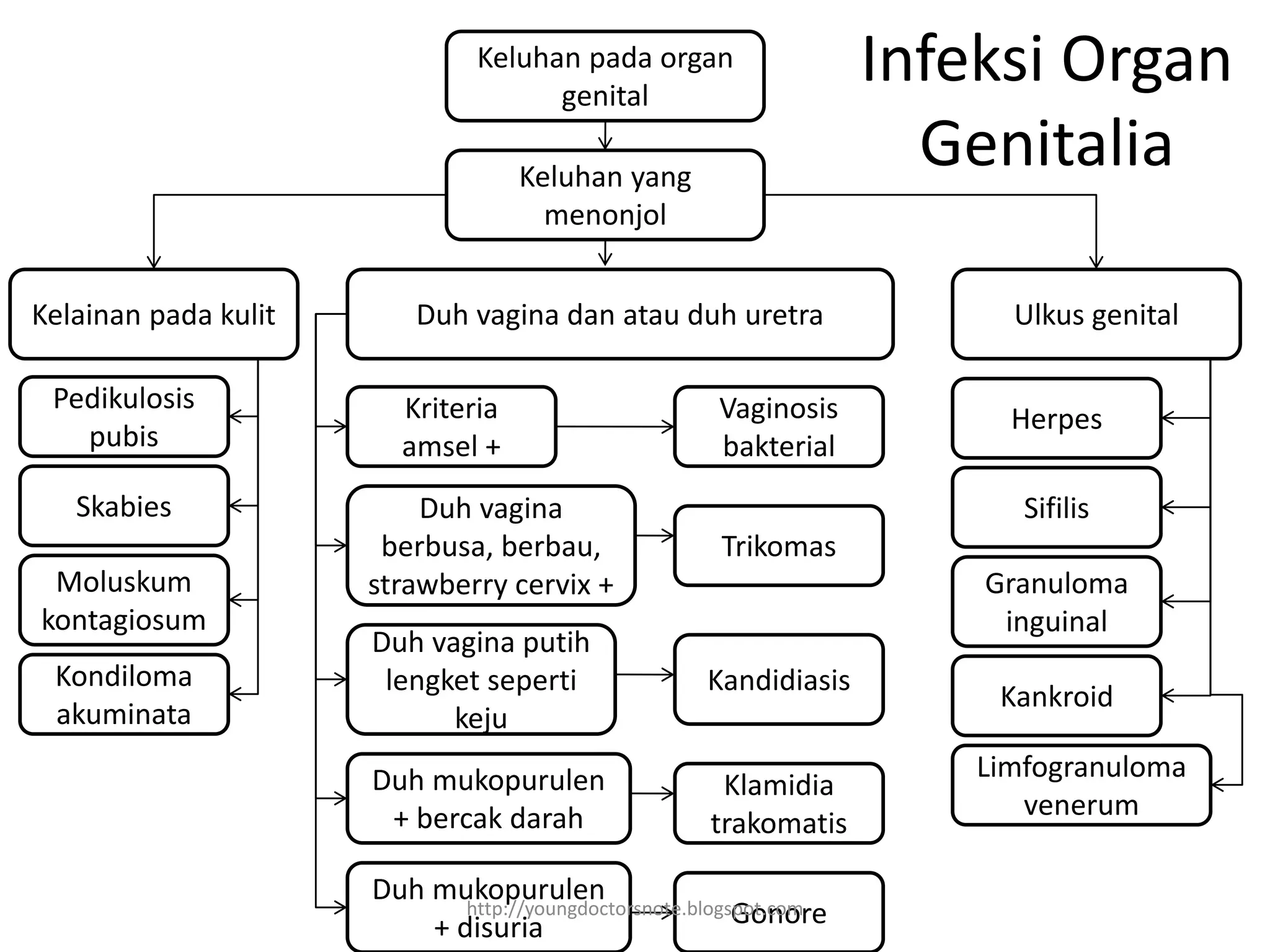 Dt infeksi organ genitalia dan traktus urinarius | PDF