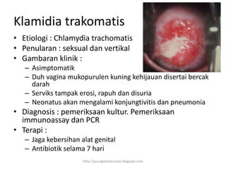 Dt infeksi organ genitalia dan traktus urinarius | PDF