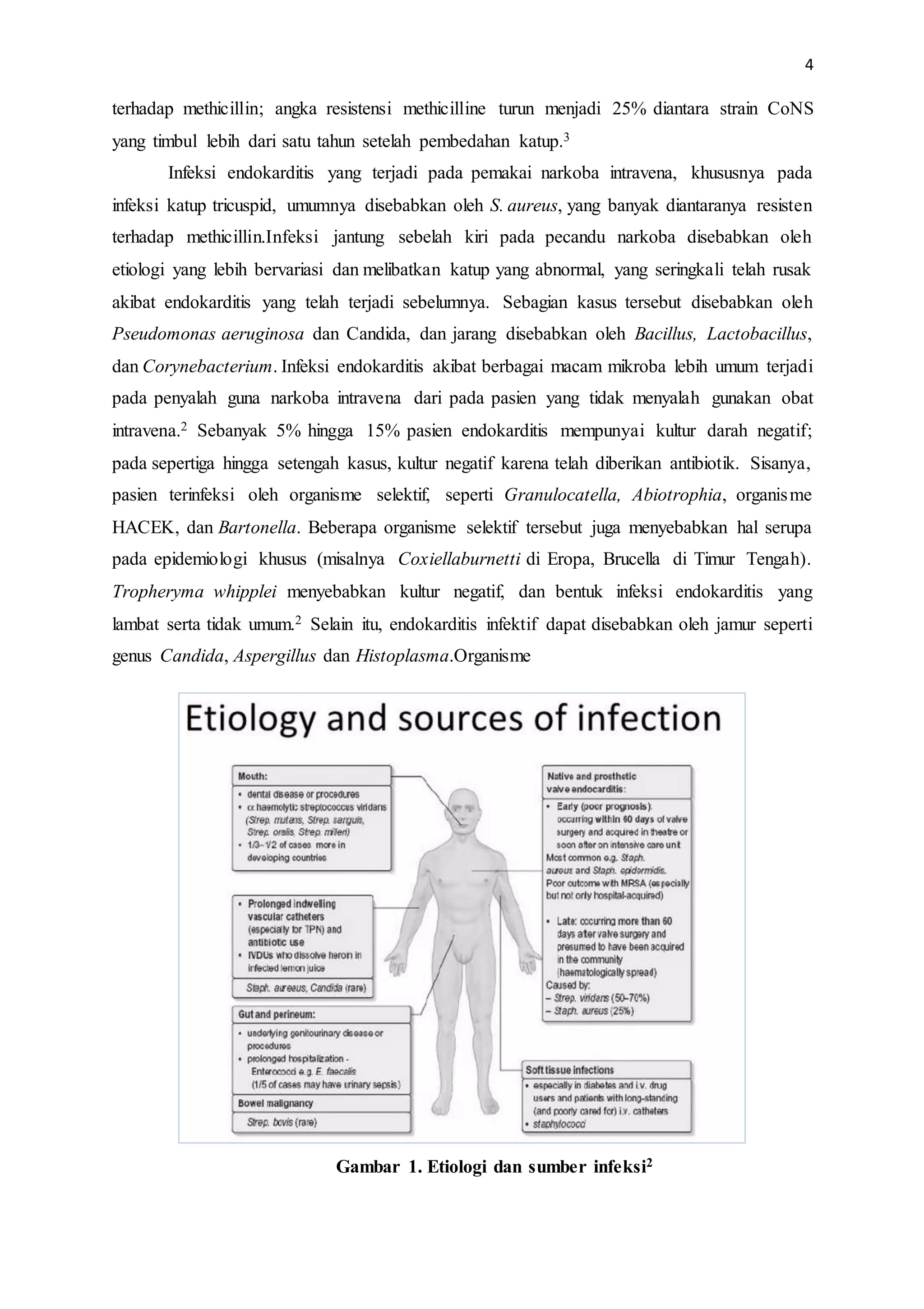 Dt endokarditis infektif | DOCX