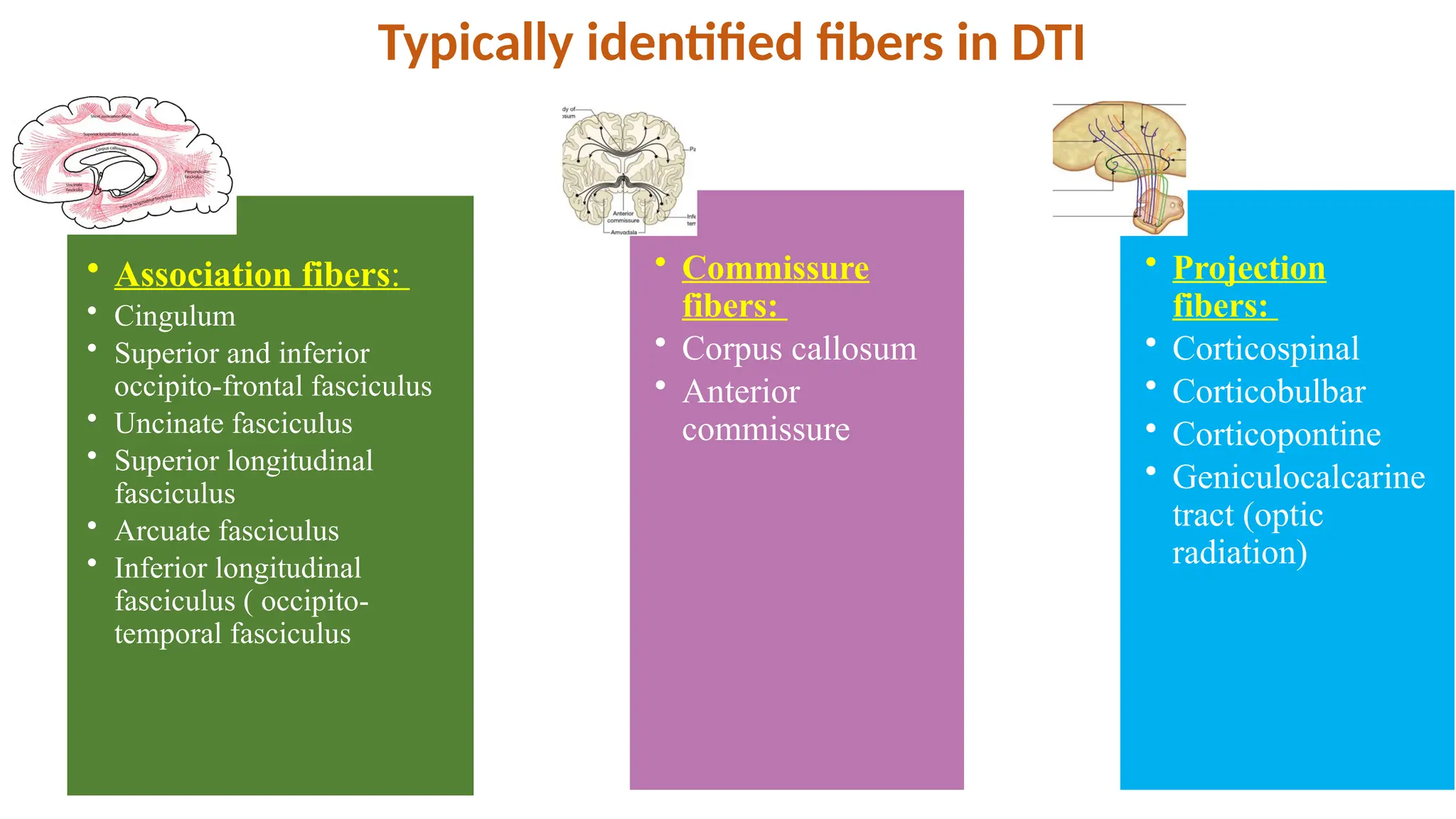 DTI imaging magnetic resonance imaging.pptx