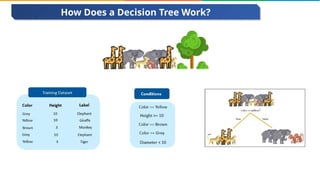 Decision Tree ID3 Algorithm | Decision Tree | ID3 Algorithm | Machine Learning | 2024 ...