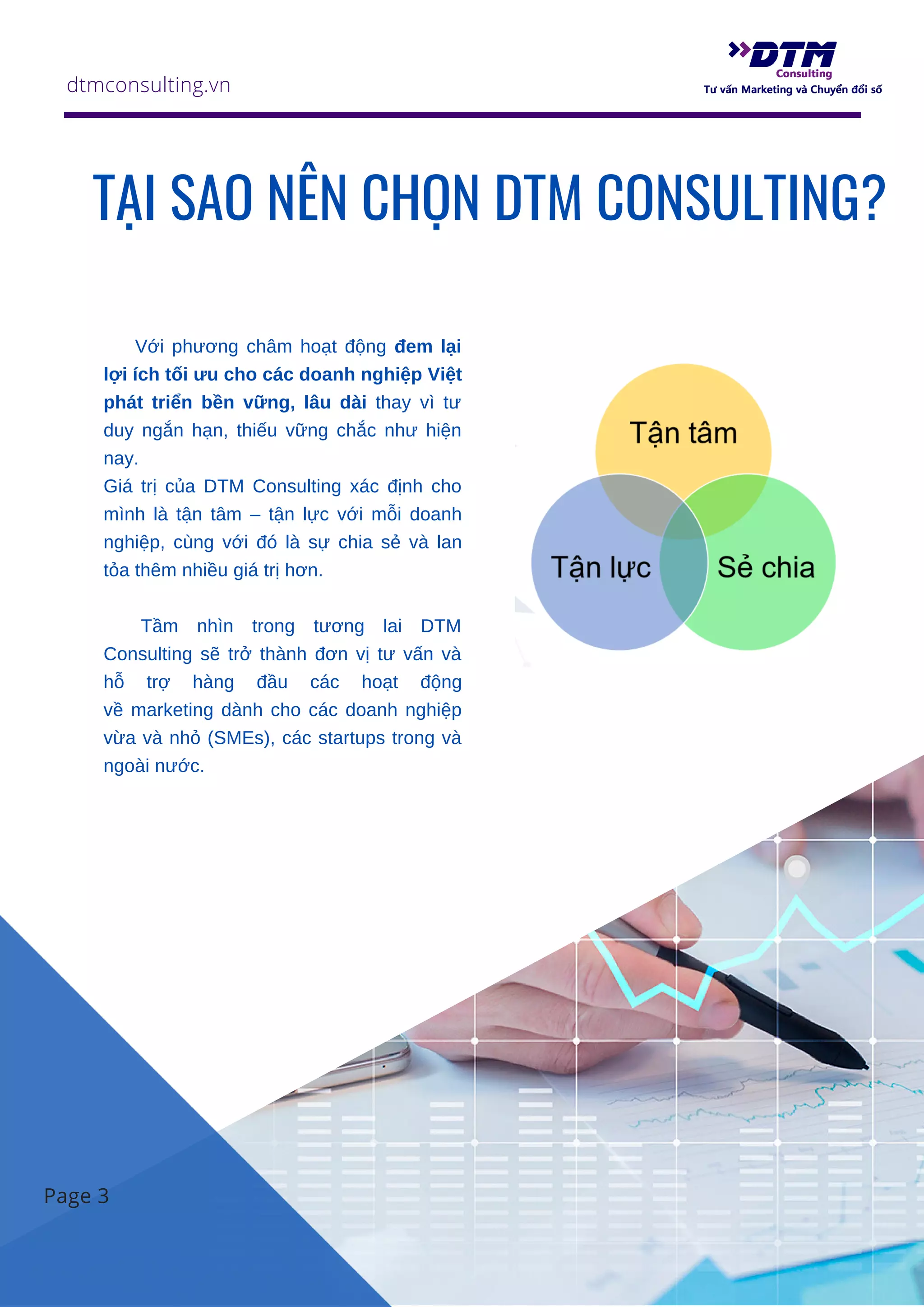 DTM Consulting Profile 2020 | PDF