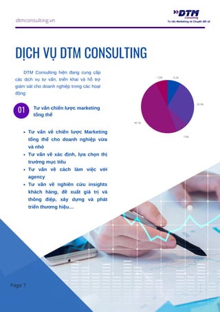 DTM Consulting Profile 2020 | PDF