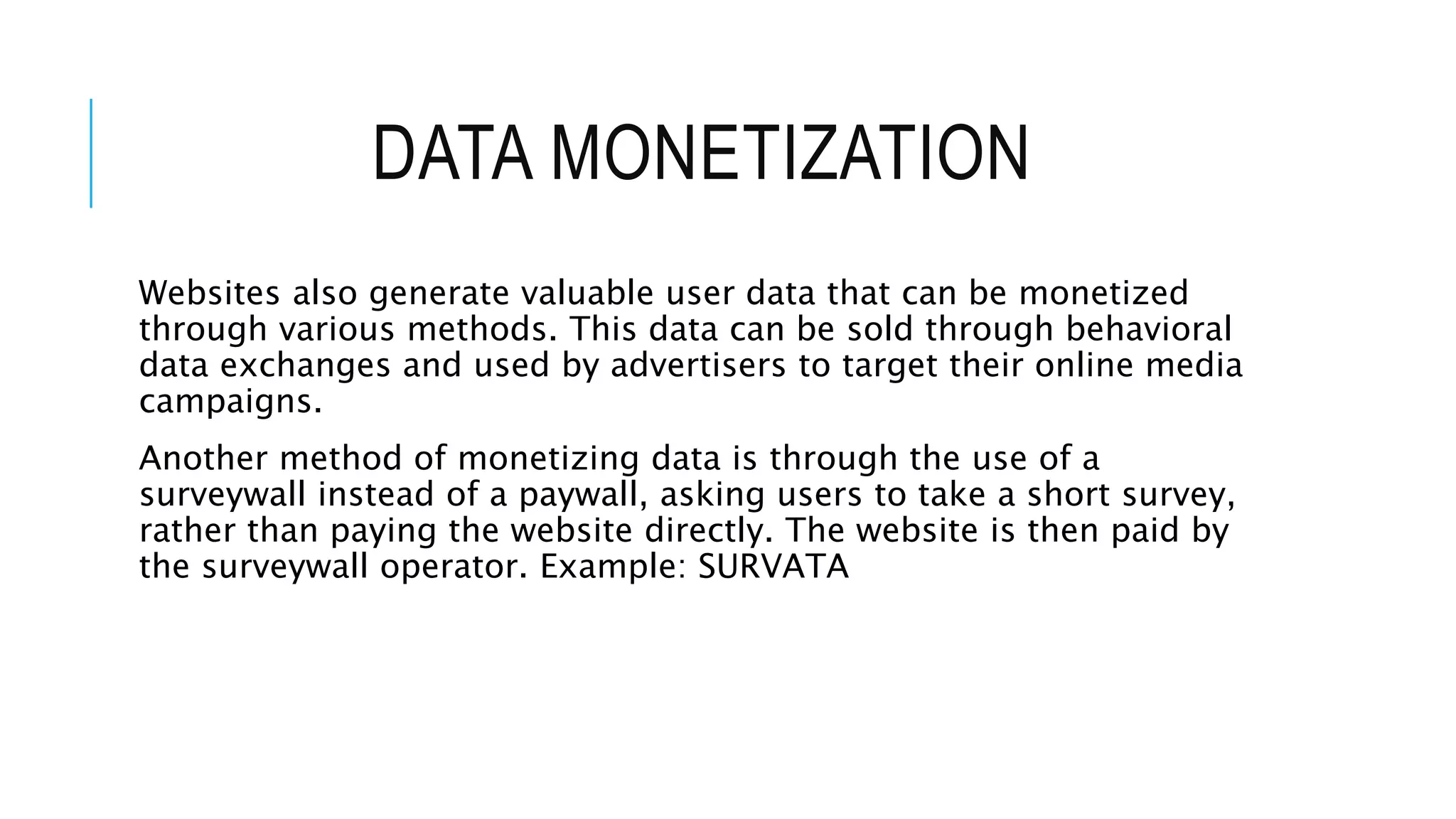 WEBSITE MONETIZATION | PPTX | Internet | Computing