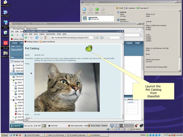 Dtrace using virtualization | PDF