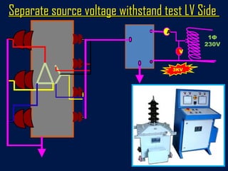 Distribution Transformer testing, West Bengal, India | PPS