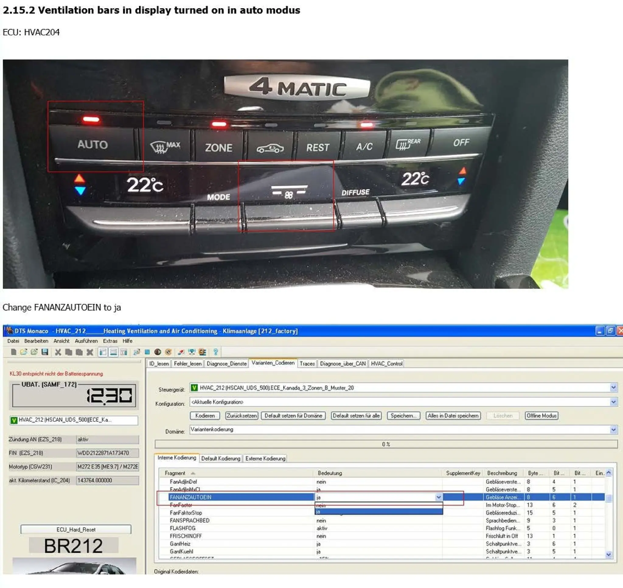 Diagnostic software DTS Monaco How To 2019.pdf