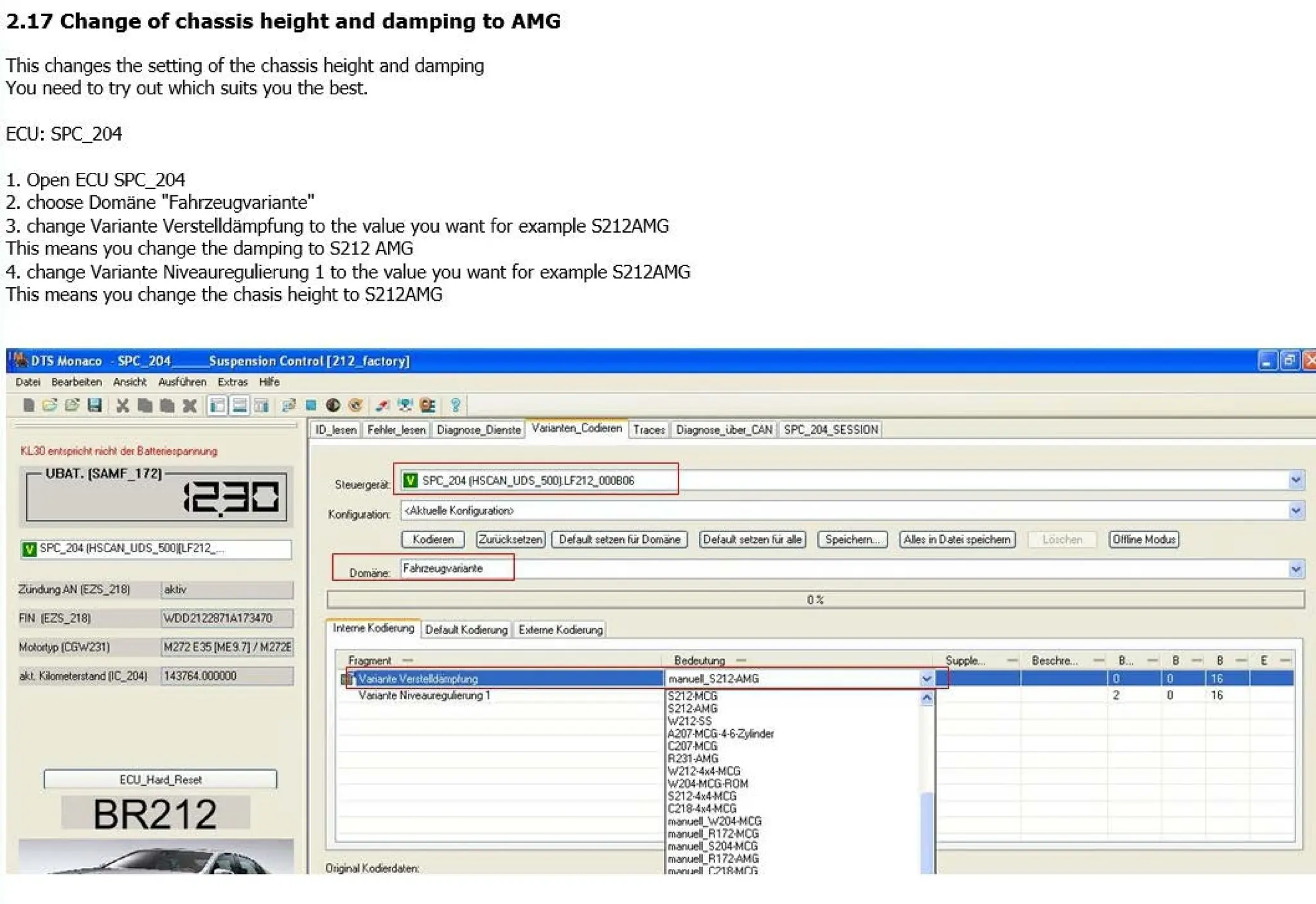 Diagnostic software DTS Monaco How To 2019.pdf