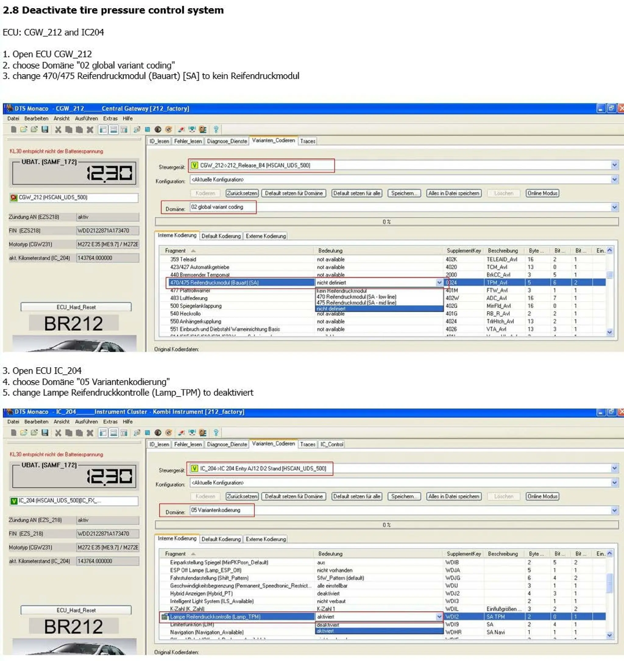 Diagnostic software DTS Monaco How To 2019.pdf